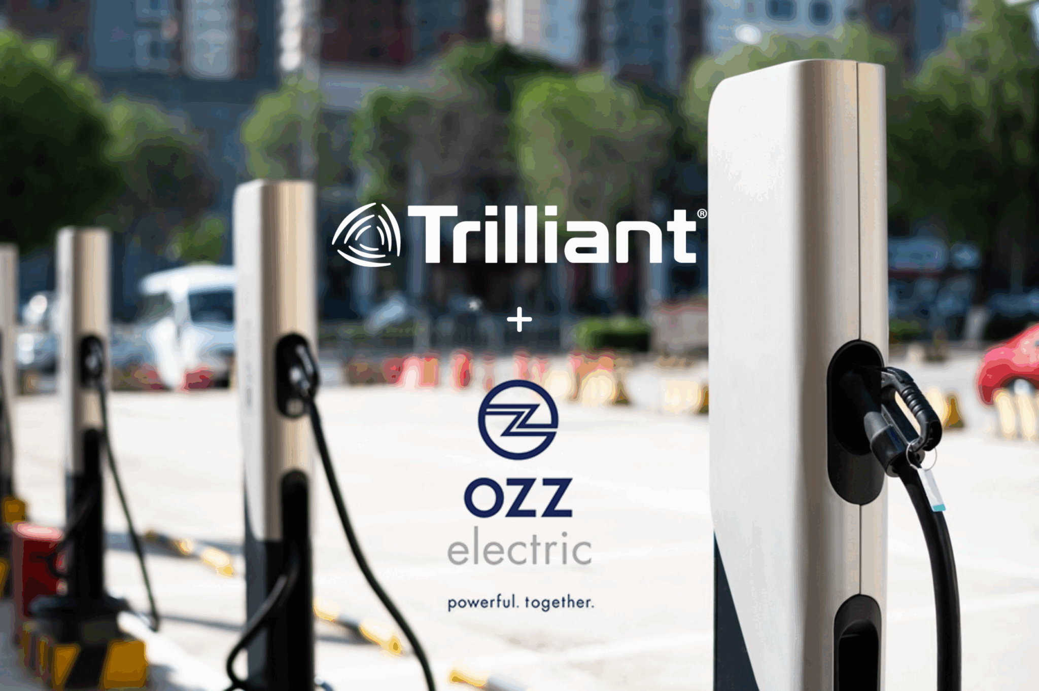 Trilliant and OZZ Electric Expand Next-Generation Utility Services in ...